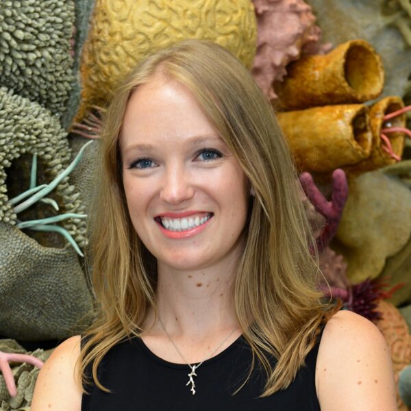 אוקיינוס של אלמוגי קרמיקה | D+A Magazine